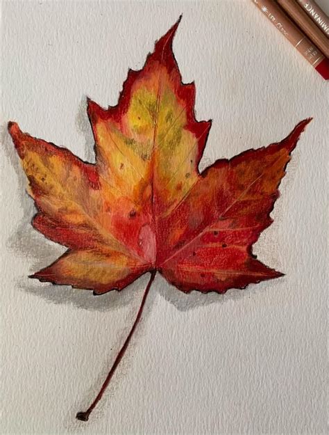 Image result for Watercolour Autumn Tutorials UK
