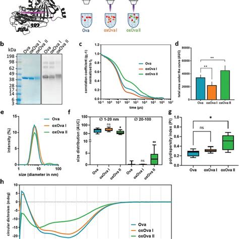 Image result for MySQL OVA