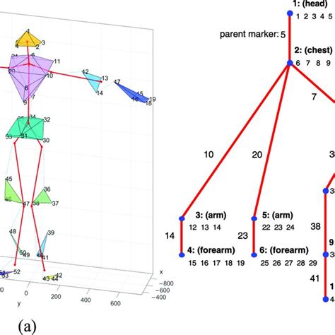 Image result for Model Layout Body