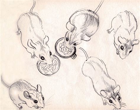 Image result for Computer Mouse Reference