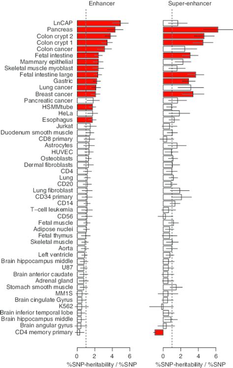Image result for Enhancer Types
