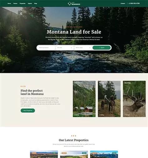 Image result for Web Designer and Developer Services
