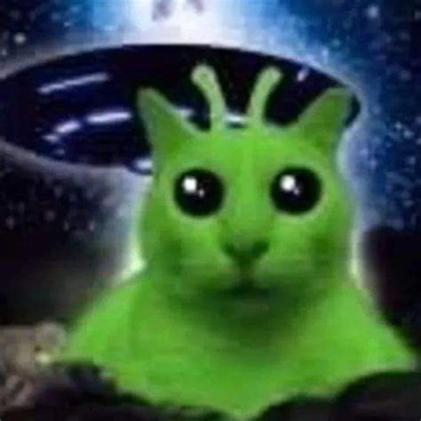Image result for Alien Cat Meme Origin