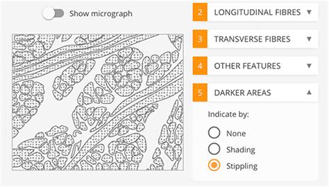 Image result for Basic Principles of Biomedical Drawing
