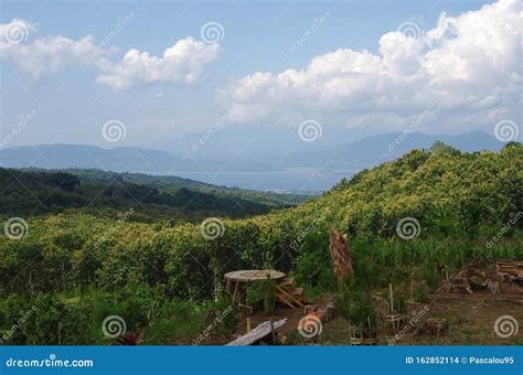 Image result for Java Island Landscape