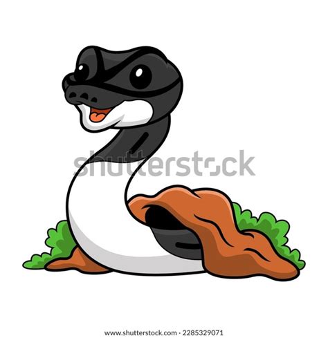 Image result for Cute Ball Python Pictures to Draw