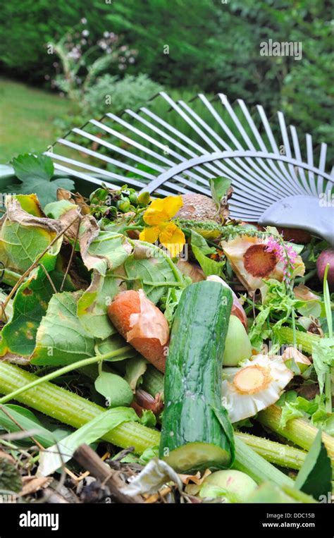 Image result for Box Plant Waste Pictures