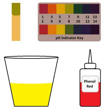 Image result for Lumen Learning pH Level