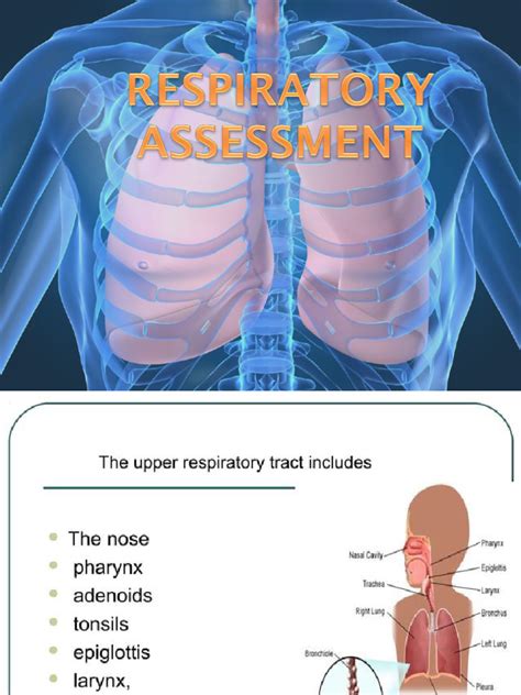 Image result for Respiratory Excursion Assessment
