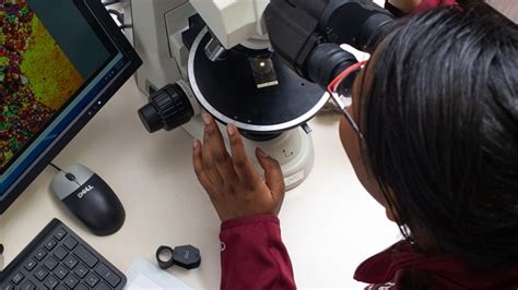 Image result for Cecremented Computer Science