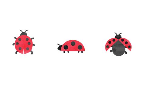 Image result for Ladybug Simple Drawing