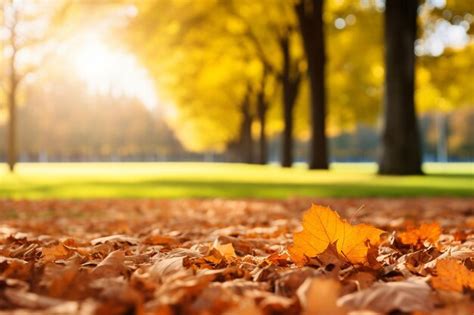 Image result for Fall Rustage