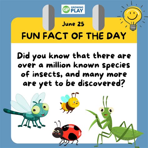 Image result for Insect Facts