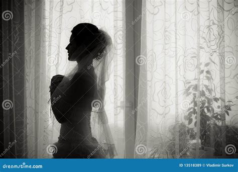 Image result for The Shadow S Bride