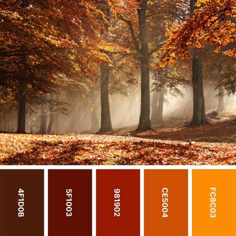 Image result for Warm Color Patterns