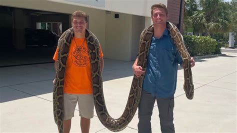 Image result for 20 Foot Burmese Python