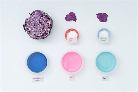 Image result for Indicator Experiment