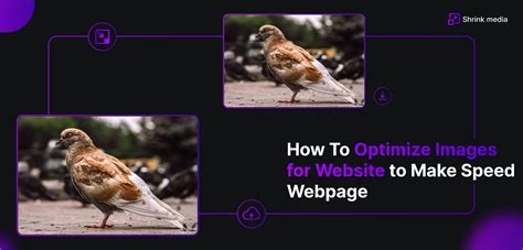 Image result for Optimize Pictures for Website