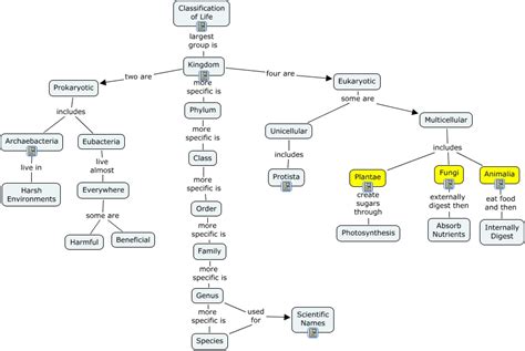 Image result for Life Classification
