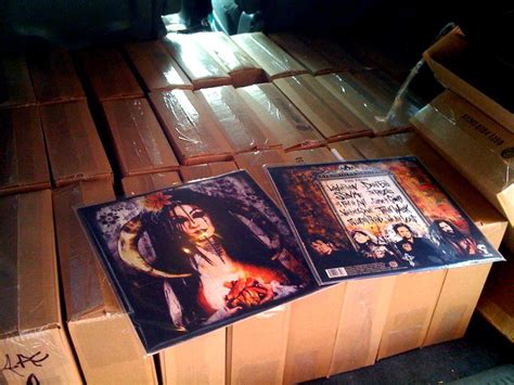 Image result for Primitive Evolution