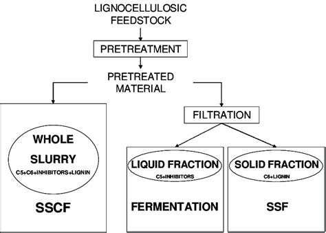 Image result for Bioethanol Production Process