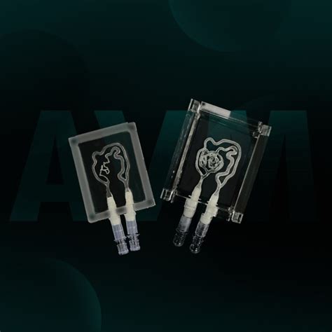 Image result for Embolization Procedure AVM