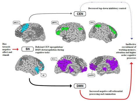 Image result for Cognitive Dysfunction in Mdd