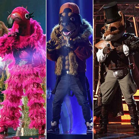Image result for Flamingo Masked Singer Reveal