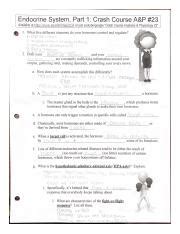 Image result for Endocrine System Crash Course Notes