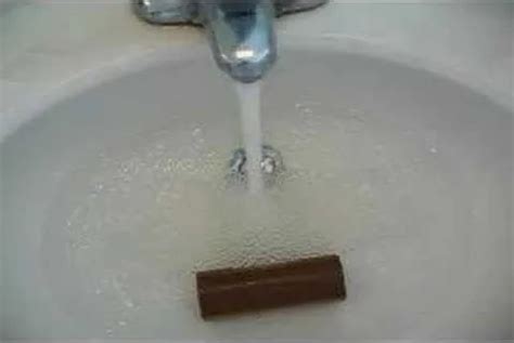 Image result for How Create Poop Proro