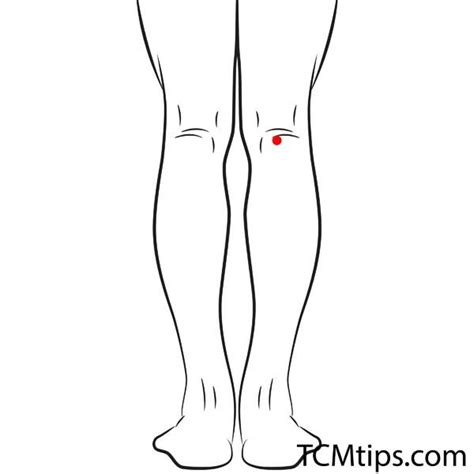 Image result for Bladder Channel TCM