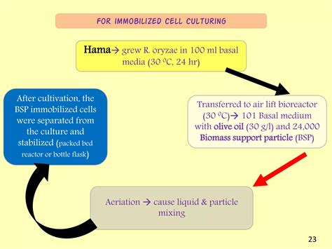 Image result for Biodiesel Production Process
