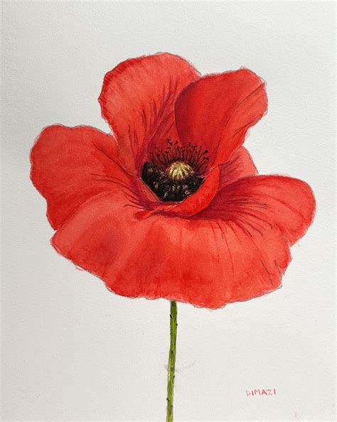 Image result for Watercolour Poppies Tutorial
