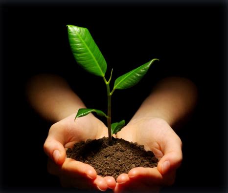 Image result for Stewardship Program