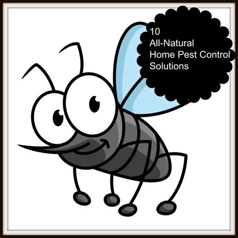 Image result for Pest Control Tips