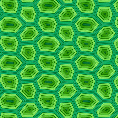 Image result for Turtle Shell Pattern