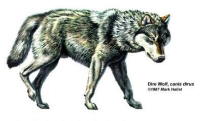 Image result for Age of Wolves