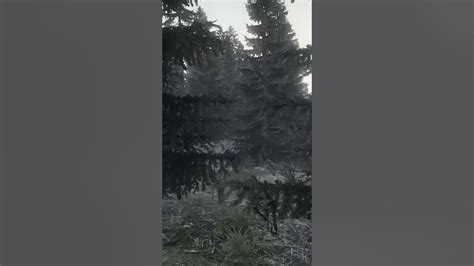 Image result for Fastest Reaction Time Ever