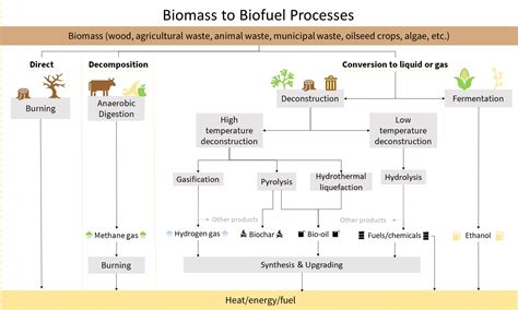 Image result for Biofuel Production Process