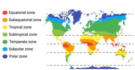 Image result for Tropical Climate Temperature Range