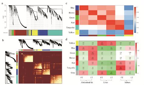 Image result for Software Module Clustering