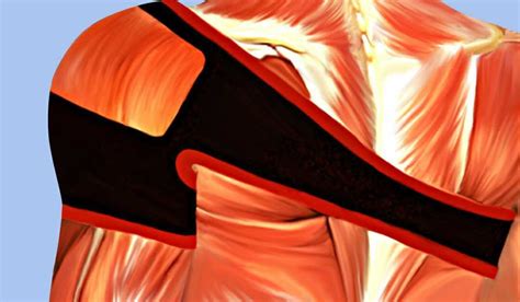 Image result for T Shellz Wrap Hamstring