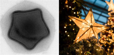 Image result for Alien Viruses