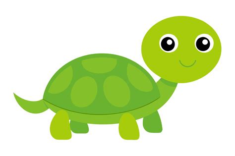 Image result for Turtle Cartoon