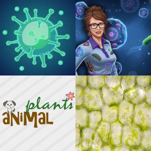 Image result for Learning Cells