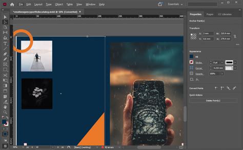 Image result for Adobe InDesign Use