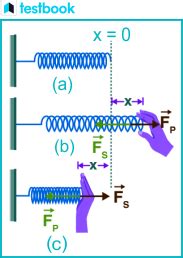 Image result for How Does Spring Energizing Work
