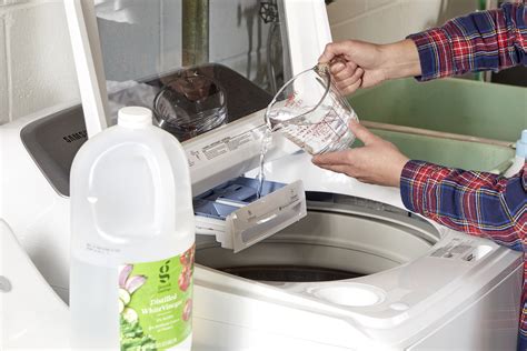 Image result for Fish Smell Inside Washing Machine