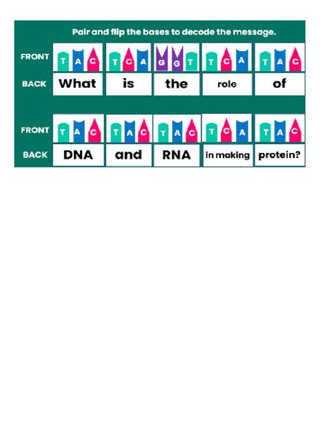 Image result for Encode V Decode Education