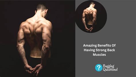 Image result for Strong Back Muscles